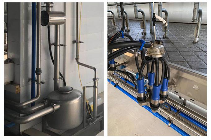 Automatic Parallel Cow Herringbone Milking Parlor Quick Release