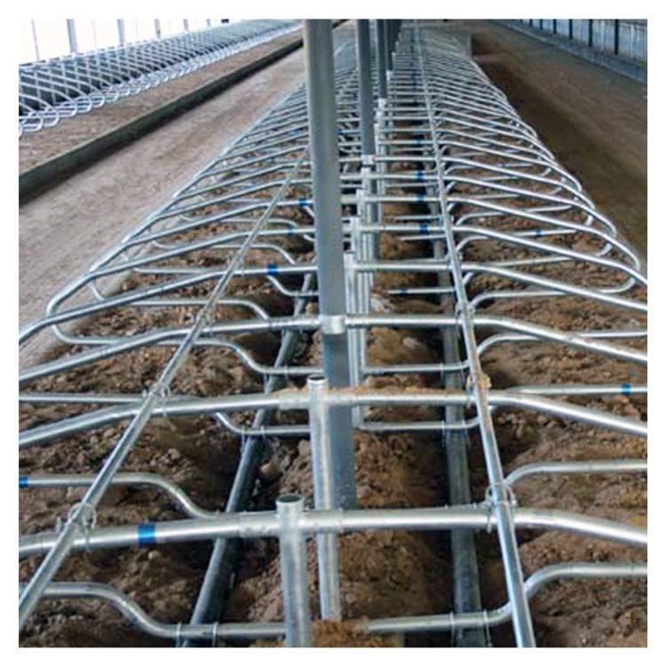 Animal Single Type Free Stall Barn Hot Dip Galvanized Pipe