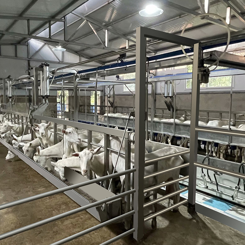 Farms Dairy High Productivity Milking Parlor Equipment Flexible Goat ...